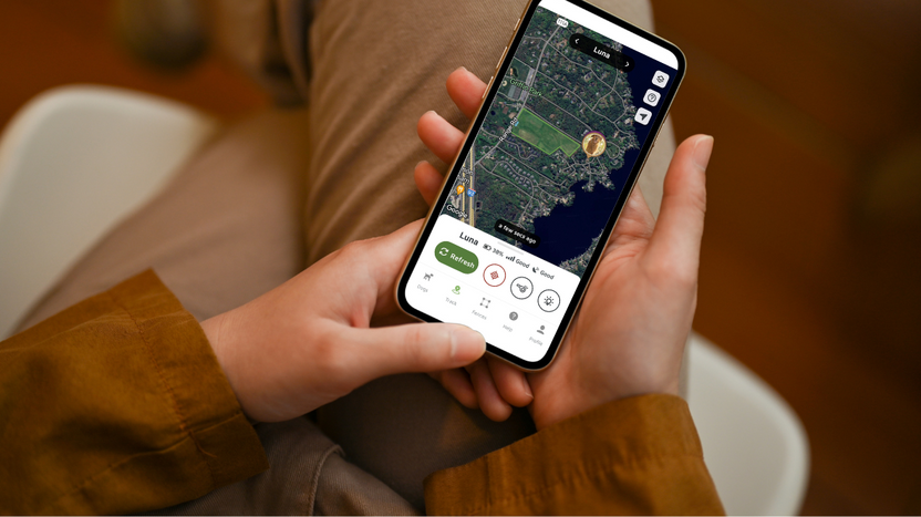 Canada's Most Innovative Dog Fence – SpotOn GPS Fence