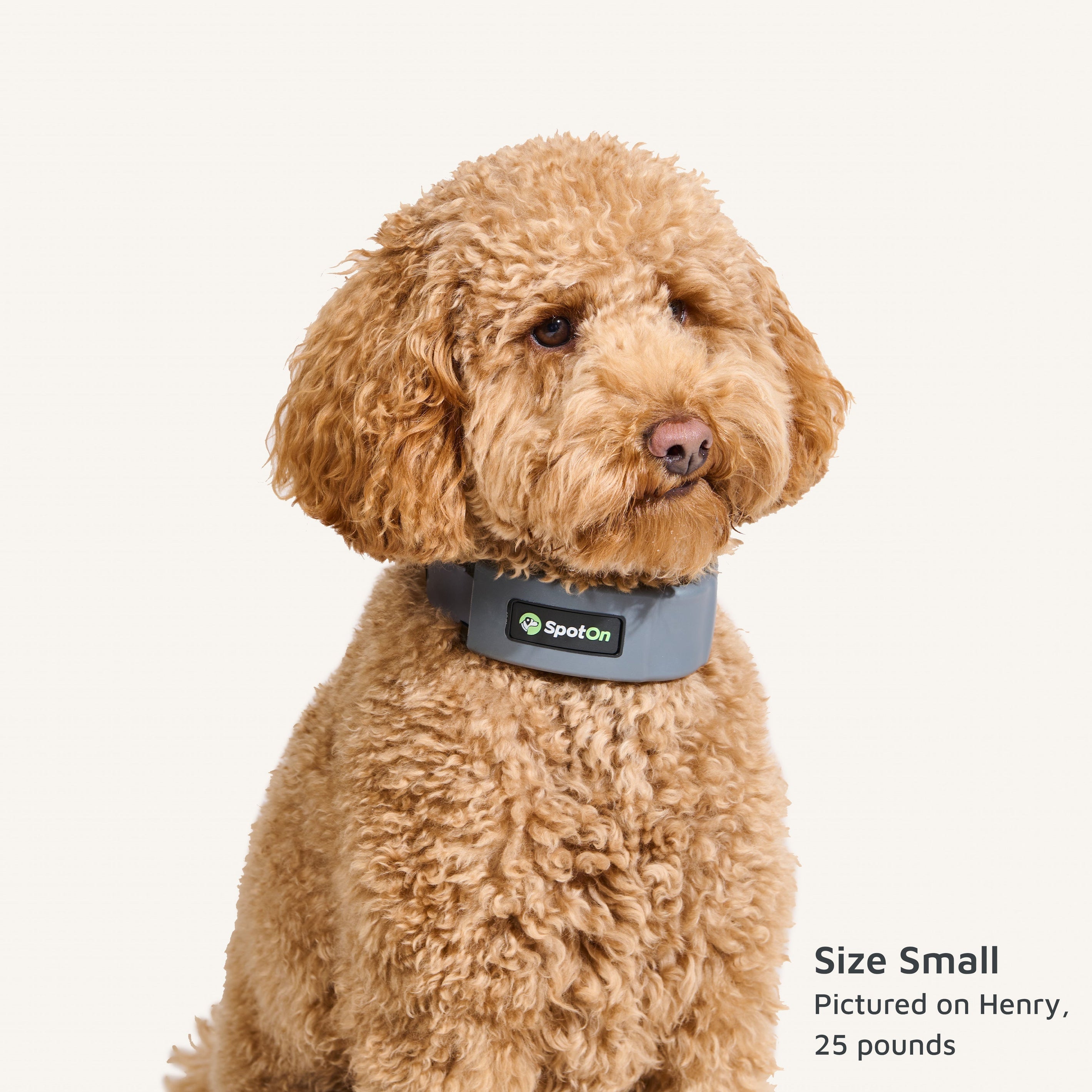 The #1 Rated Custom Shape Wireless Dog Fence | SpotOn